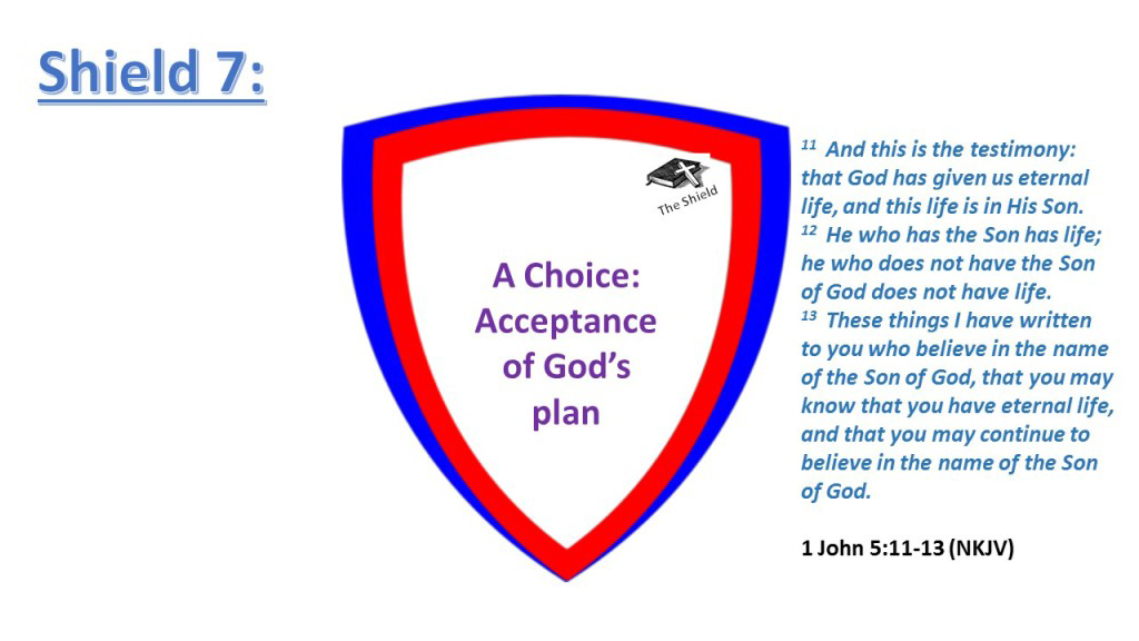 Shield 7 – The Bible Shield